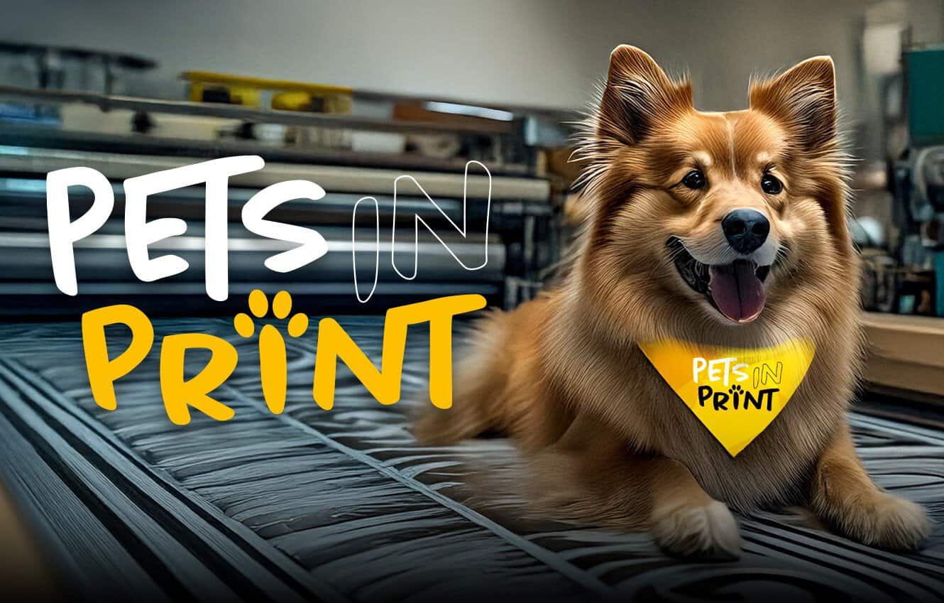 Papped pooches and photographed felines: Innotech launches Pets in ...